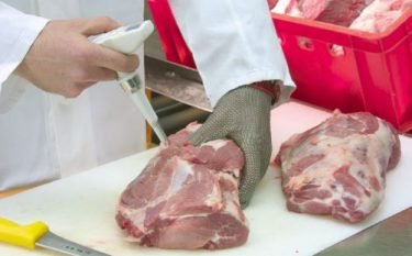 Pengaruh pH Terhadap Kualitas Daging Sapi - Digital Meter Indonesia